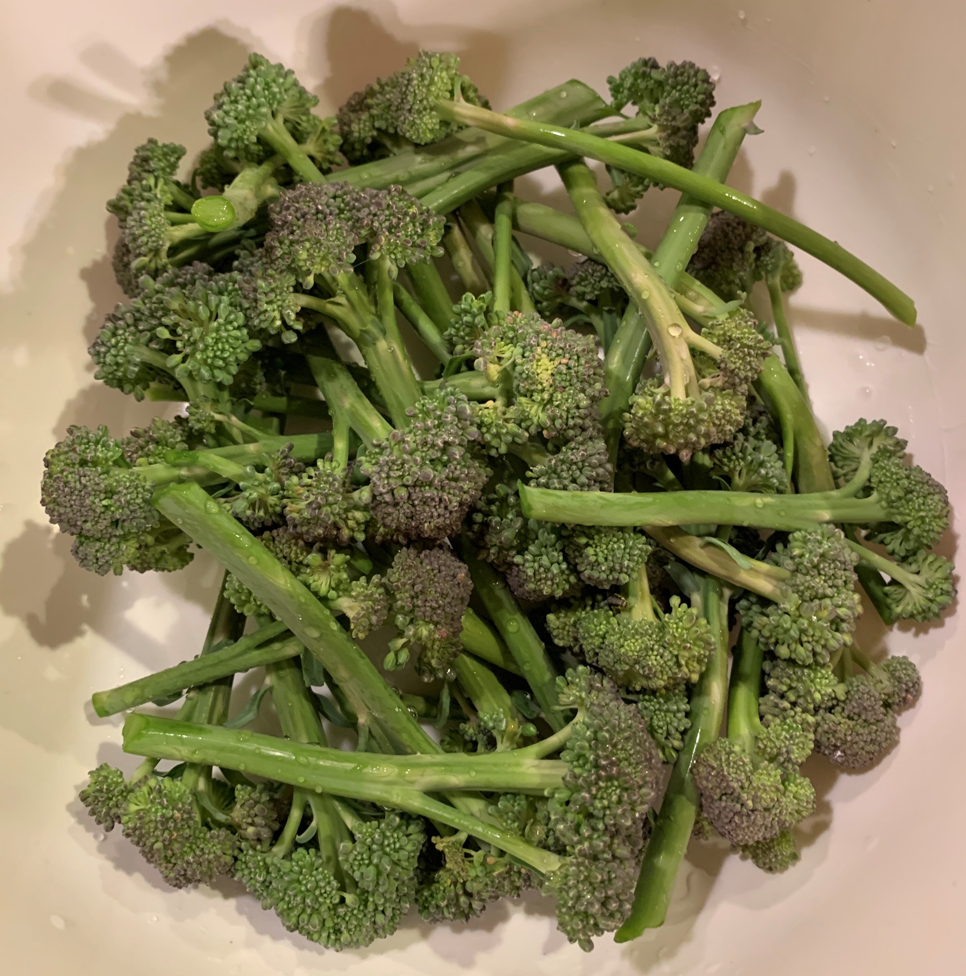 How to Grow Beautiful Broccoli - Okra In My Garden