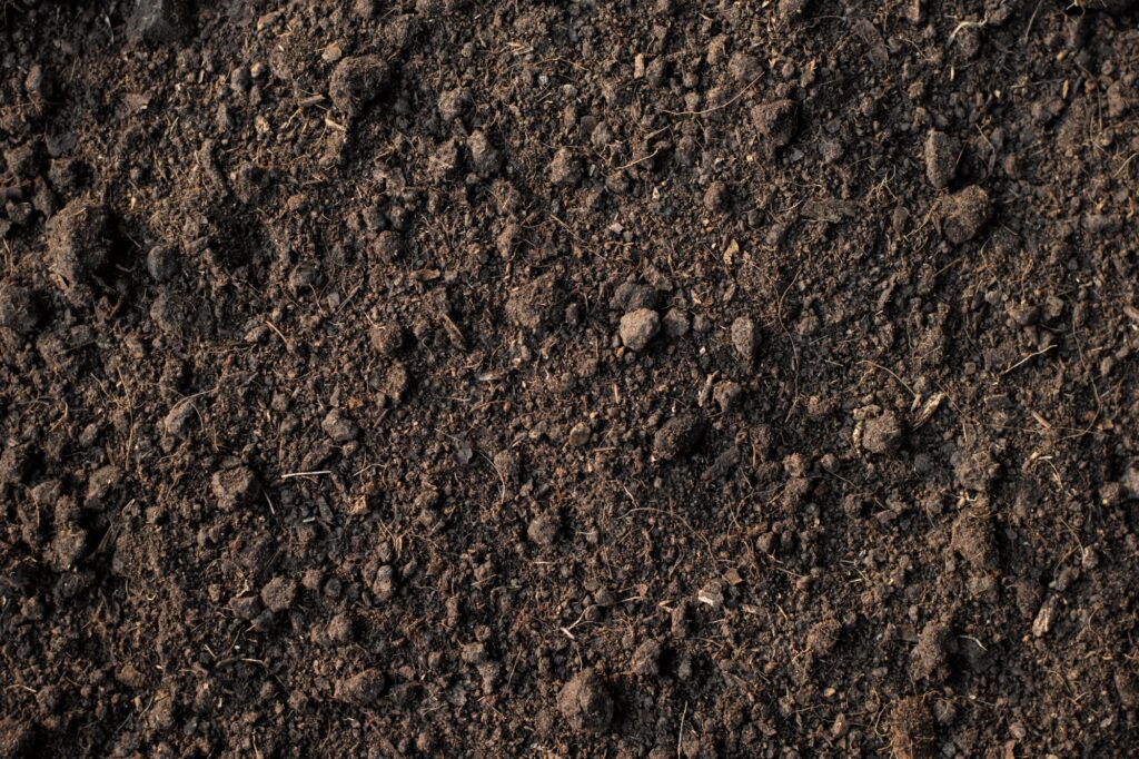 4 Soil Types and What Grows Best in Each - Okra In My Garden