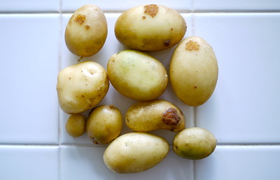 How to Keep Potatoes From Turning Toxic Green - Okra In My Garden